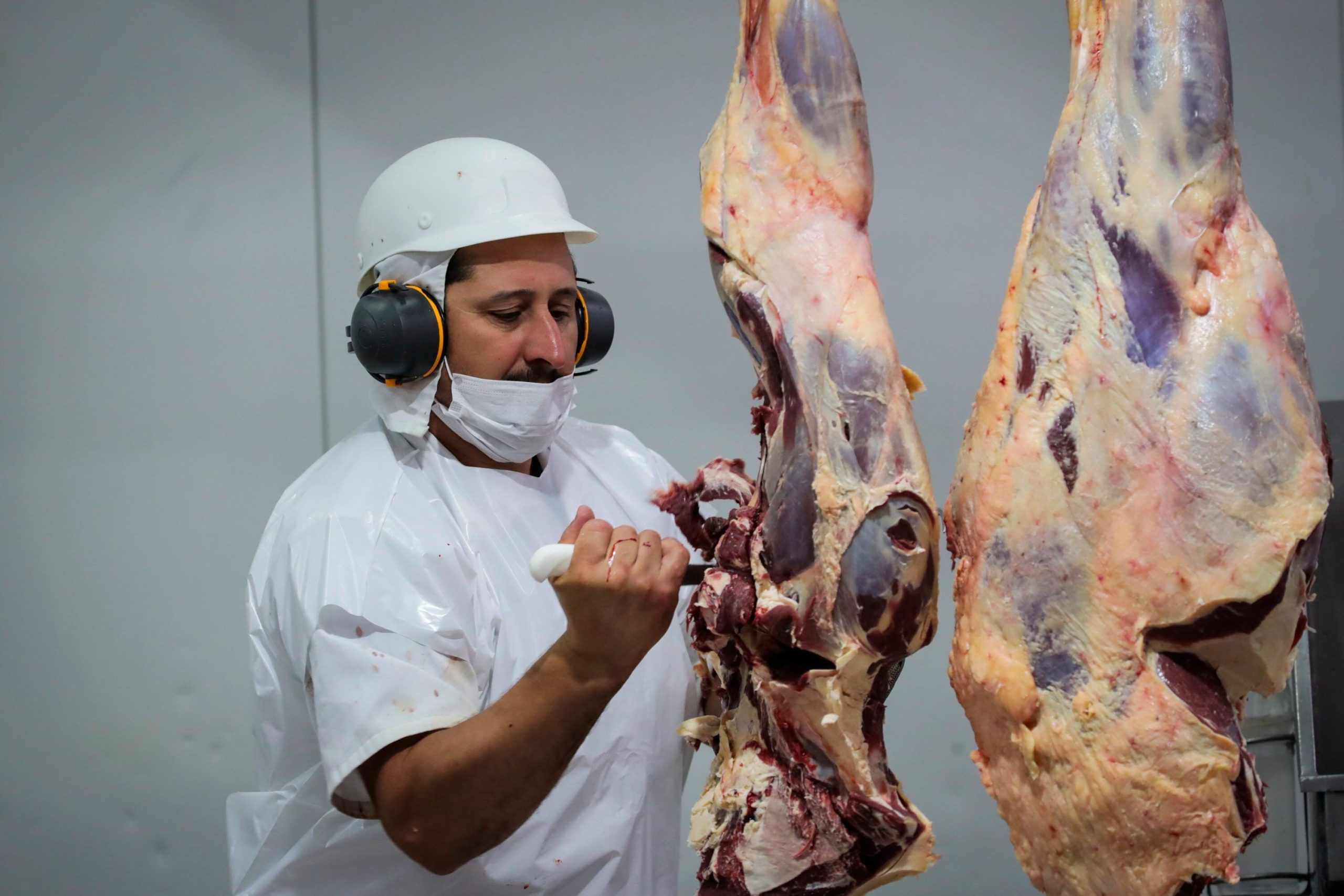 Frigorífico Sarel SA - EXPORTERS Approved Meat processing plant